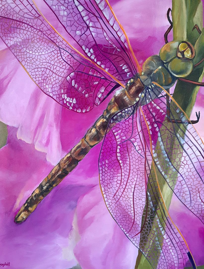 Trish Wagstaff Artwork | Bairnsdale and District Arts Society